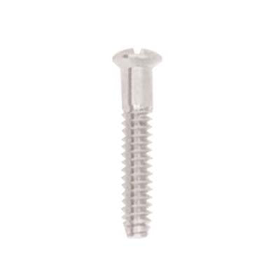 Silver-Plated Screw for Coin Mounting, 6mm - 305-95 - Jules Borel & Co.